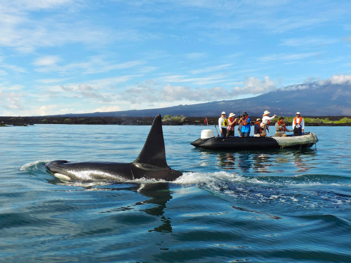 Vancouver Island Road Trip | Build your trip with a local