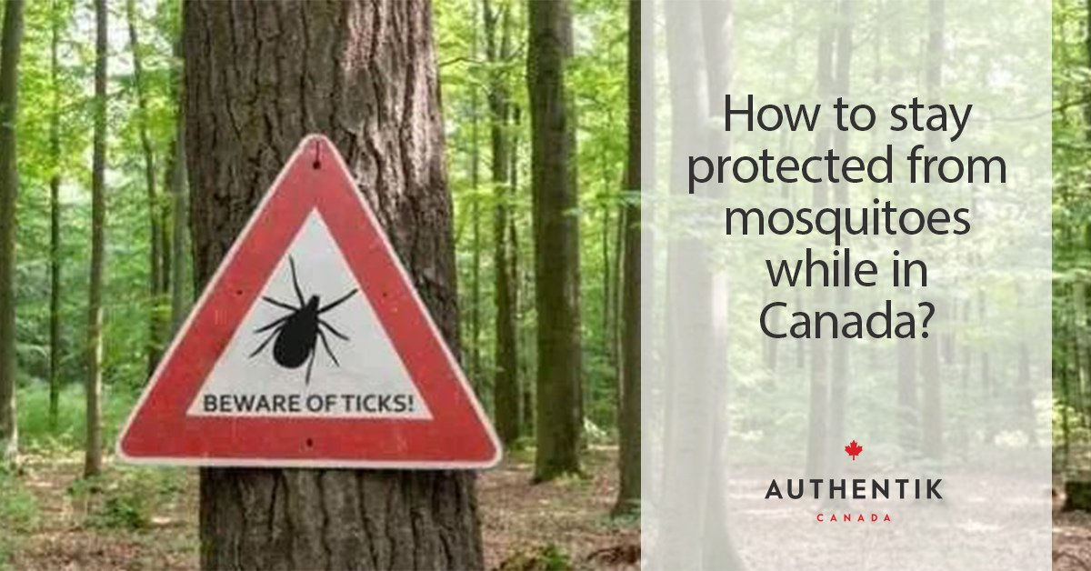How can you protect yourself from ticks and Lyme disease?