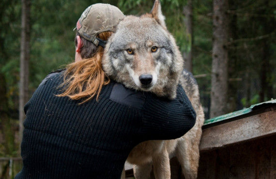 10 activités pour observer la faune au Québec | Blog Authentik
