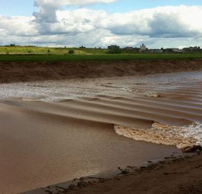 Moncton travel guide 2025 | Free PDF book to print