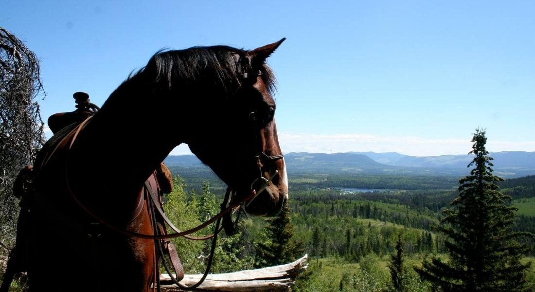 Top 6 des ranchs dans l'Ouest canadien