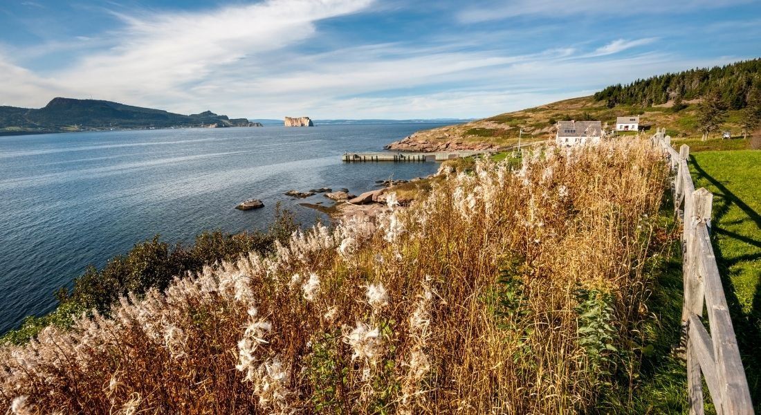 Croisière à l'Île Bonaventure (Percé) : le guide pratique