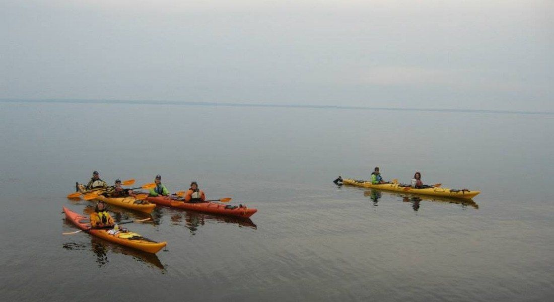Top 5 des croisières aux baleines au Québec | Authentik Canada