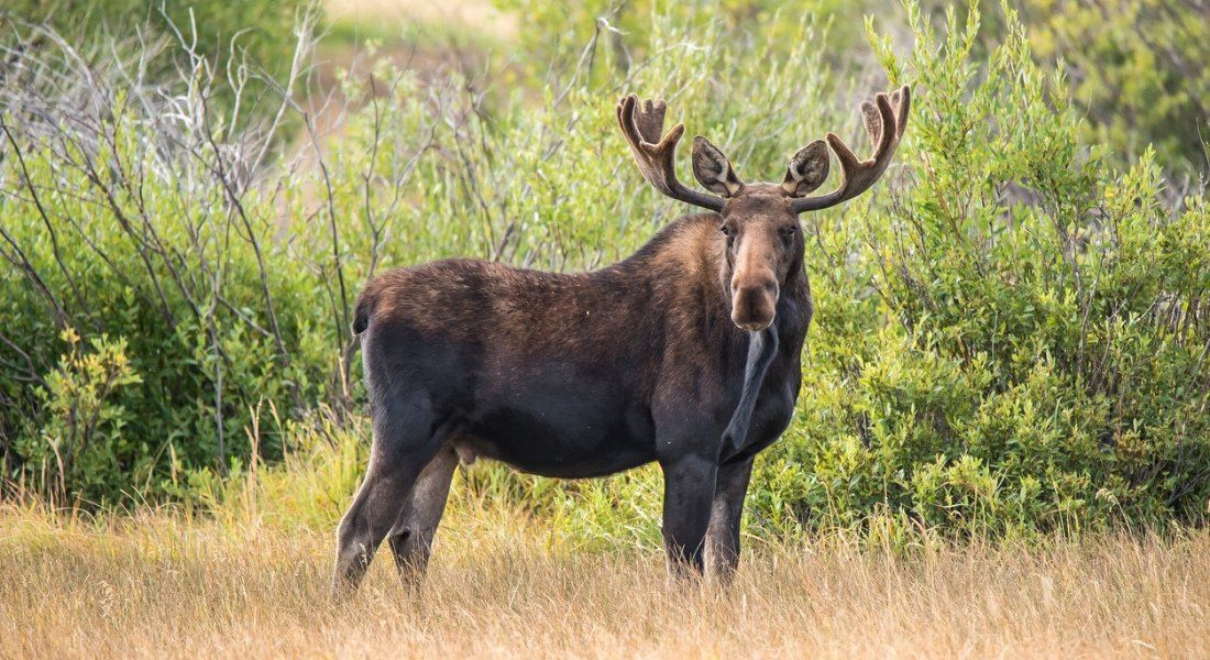 The ultimate Quebec family road trip | Authentik Canada Blog