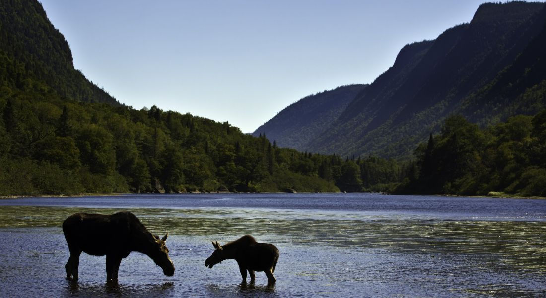 Guide du parc national de la Jacques-Cartier : photos + carte