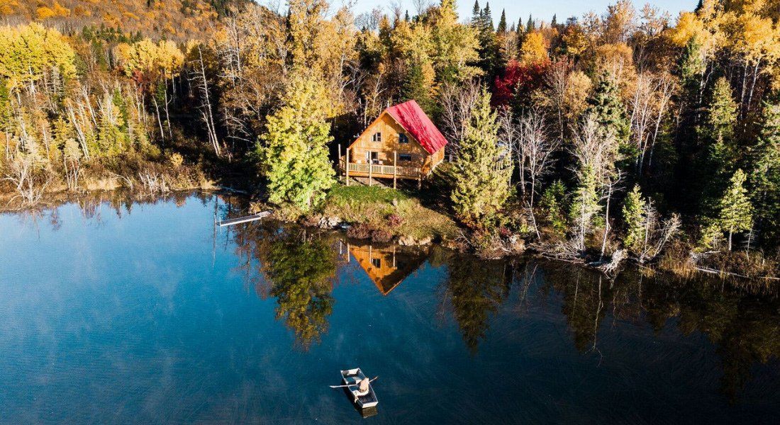 Les 5 meilleures activités pour observer la faune au Québec