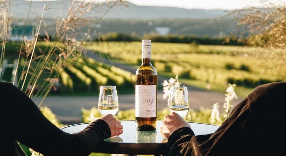 Top 5 des vignobles à visiter au Québec