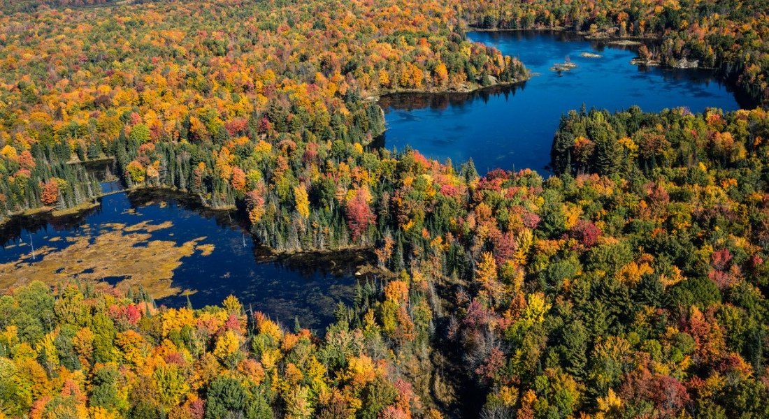 5 fall activities to enjoy the Indian summer