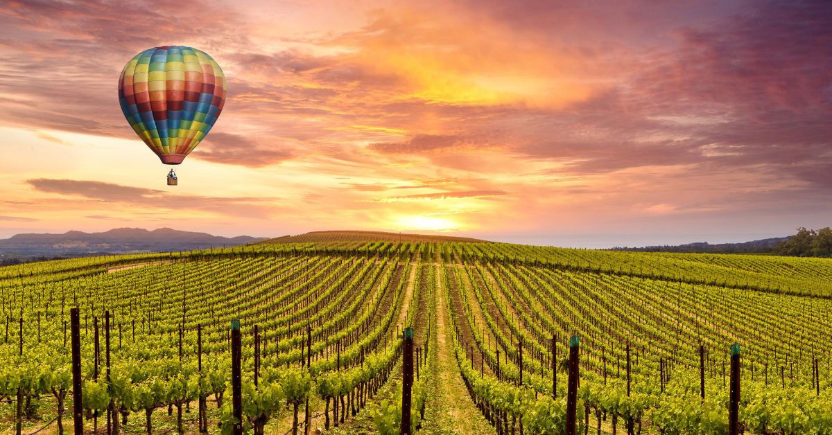 Top 5 activities to do in Napa Valley