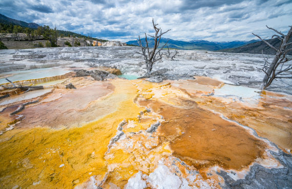 Visiter le parc de Yellowstone : le guide ultime