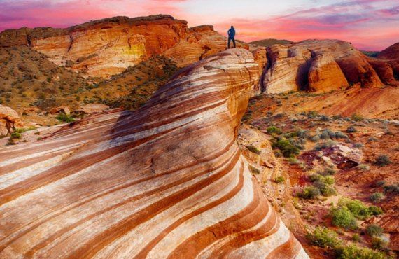 Visit Valley of Fire (everything you need to know)