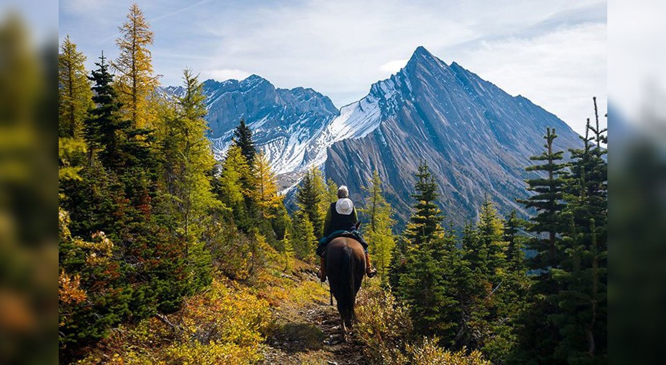 Horseback Riding with a Cowboy - Priddis: Photos & Reviews
