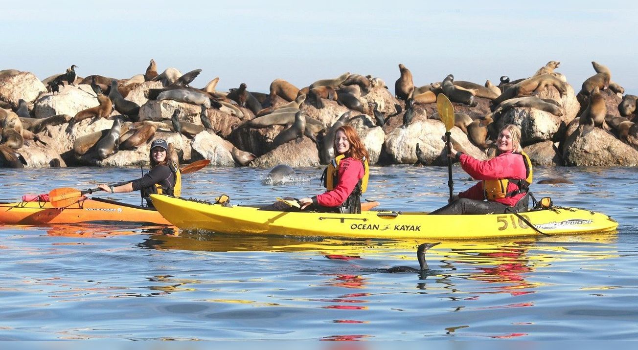 Monterey Bay Kayak : Rates, photos and reviews