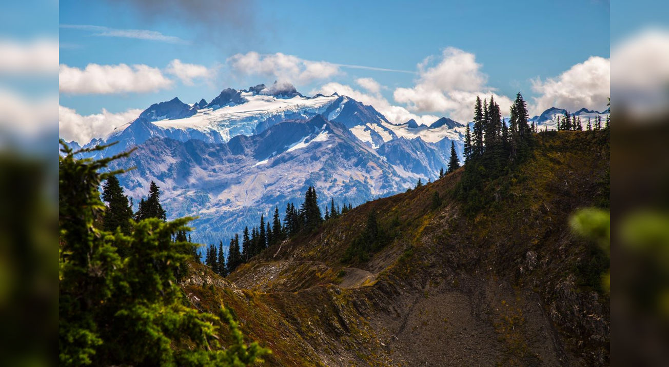Olympic National Park Travel Guide 2025 | Free Printable PDF