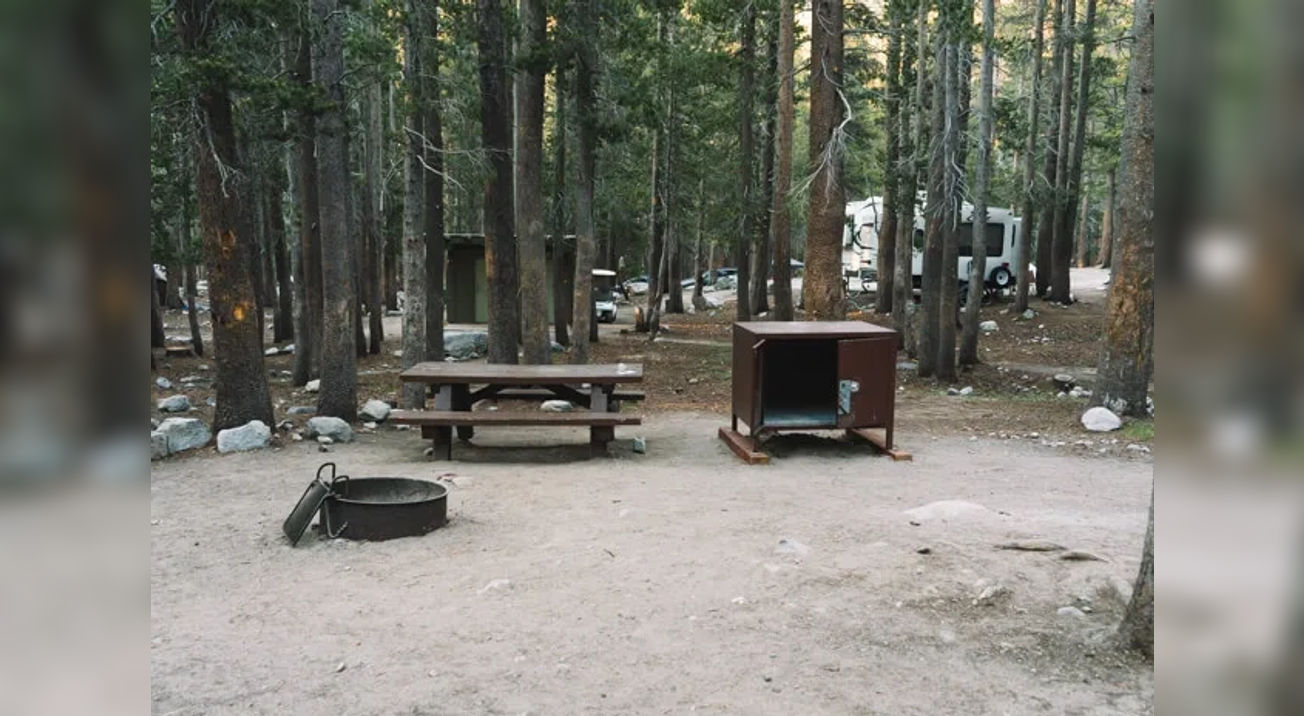 Coldwater Campground - Mammoth Lakes : Photos and reviews