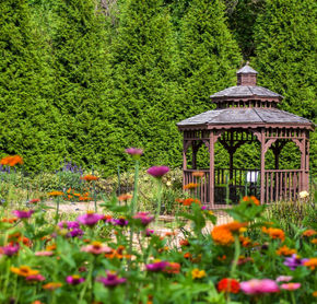 Joplin Travel Guide 2025 | Free PDF