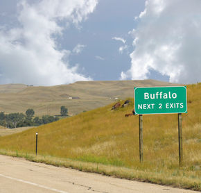 Buffalo travel guide 2025 | Free printable PDF
