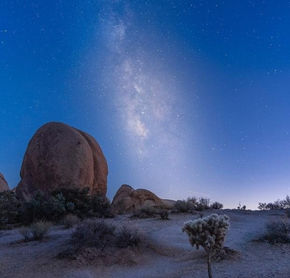 Jumbo Rocks Campground - Joshua Tree National Park