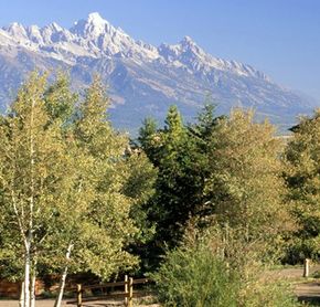 Spring Creek Ranch - Jackson : Rates, photos and reviews