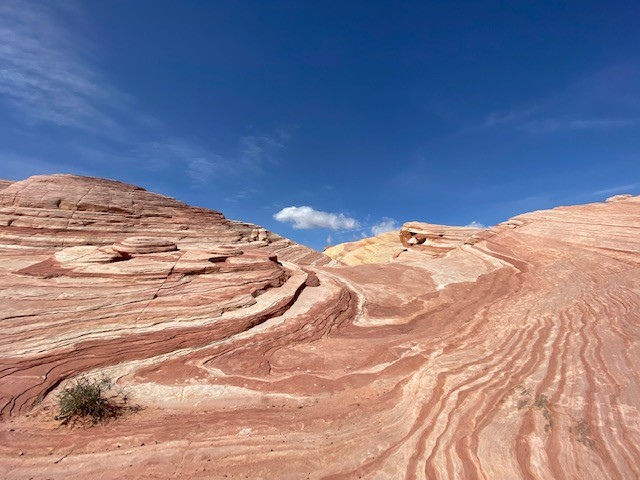 Visite de Valley of Fire à partir de Las Vegas : Photos et avis