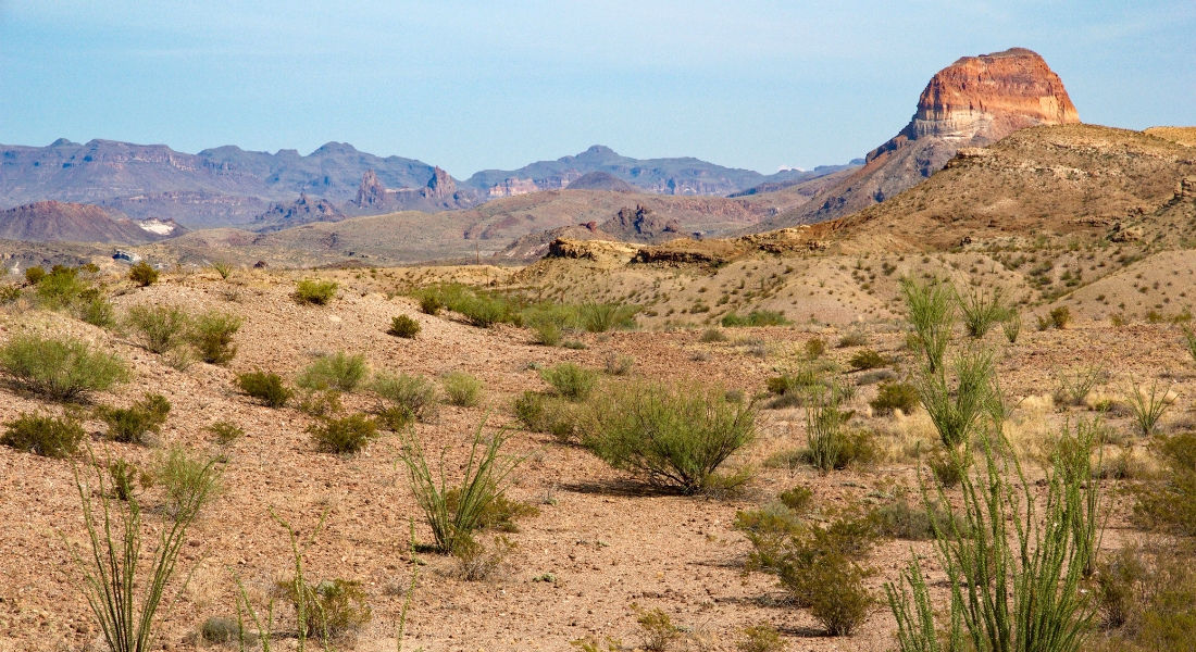 Big Bend National Park (the ultimate guide)