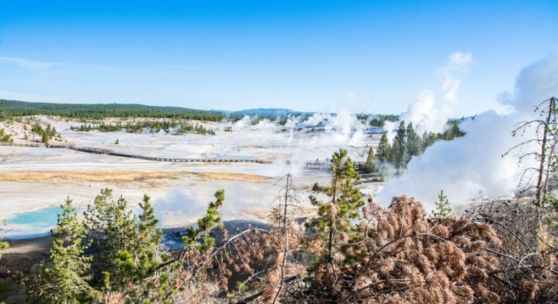Parc Yellowstone : TOP 5 des choses à voir (carte et photos)