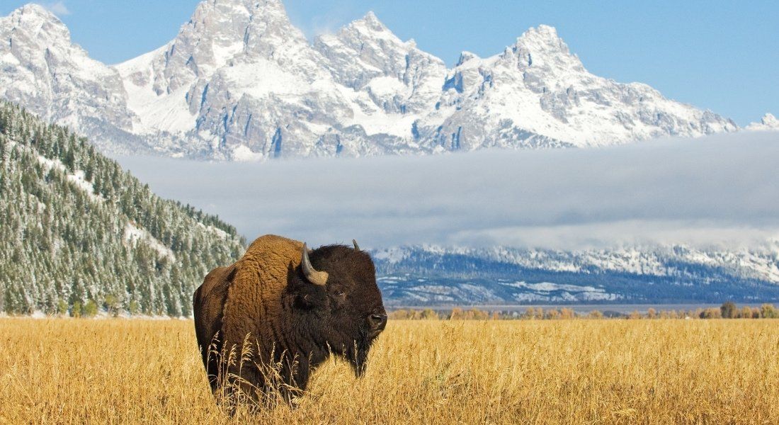 TOP 10 des plus beaux paysages de l'Ouest américain | Blog