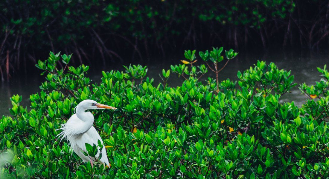 The Florida Keys: TOP 10 stops on the Overseas Highway