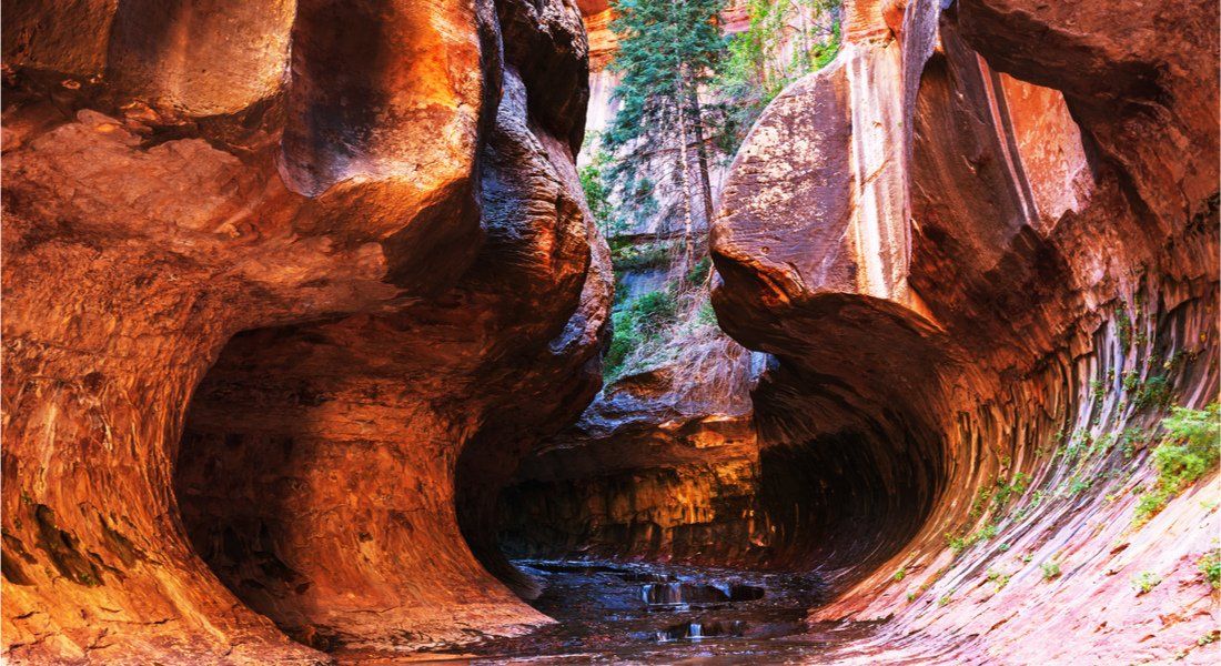 The Narrows hike in Zion National Park: the complete guide
