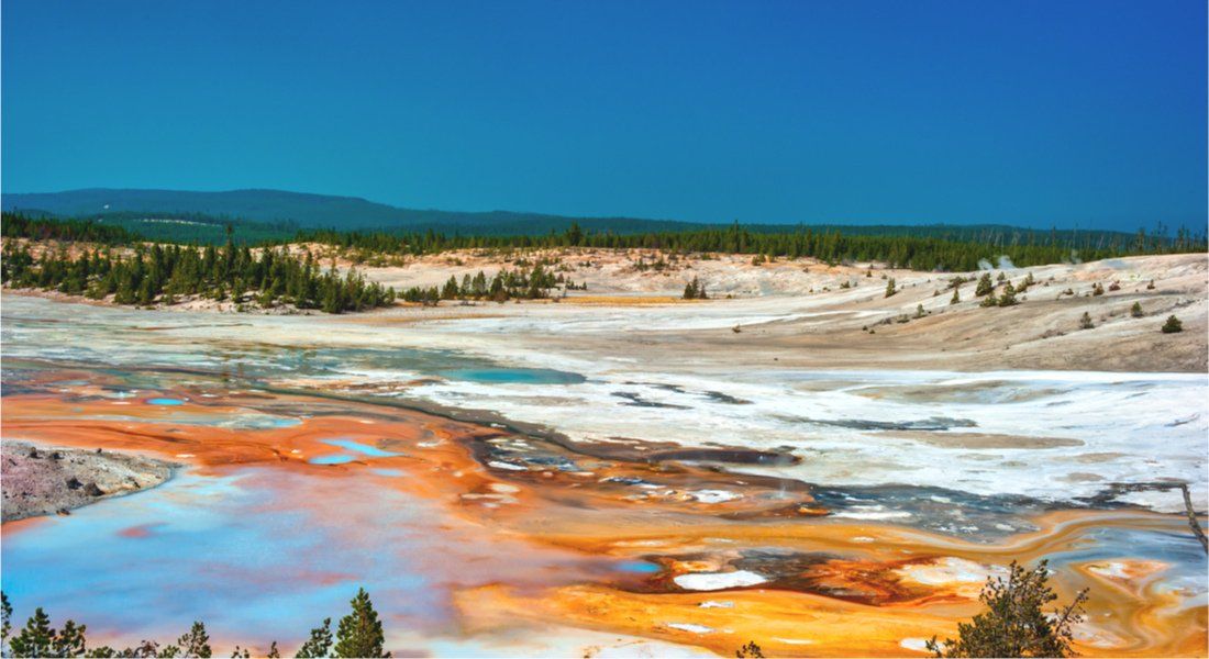 Visiter le parc de Yellowstone : le guide ultime