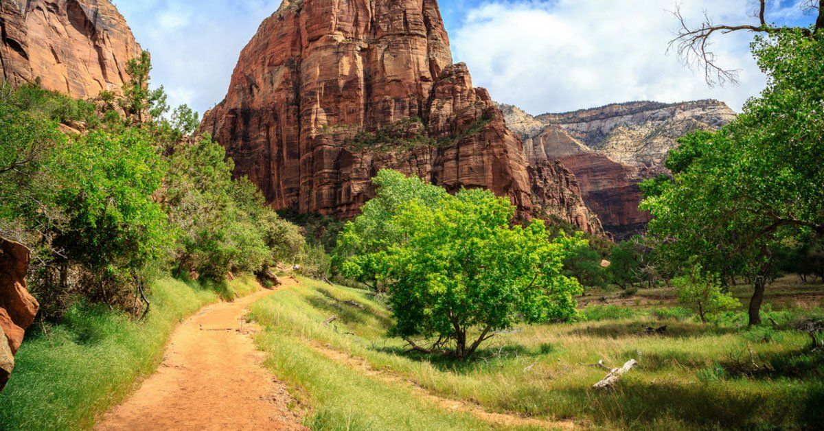Zion: The complete guide to the Angels Landing hike