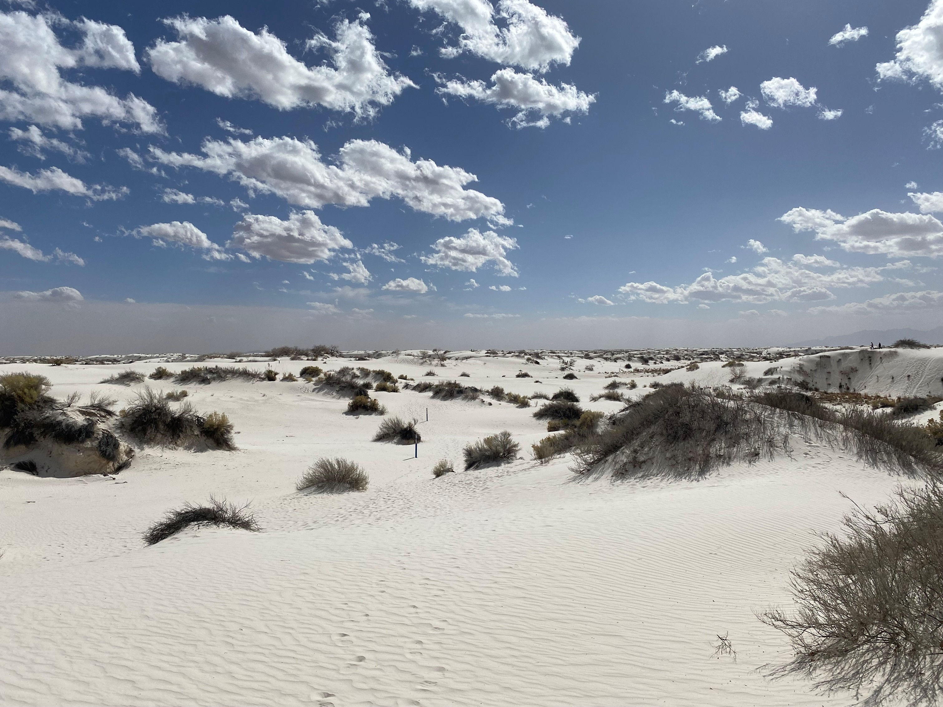 Guide voyage du parc national White Sands 2026 | PDF gratuit à imprimer