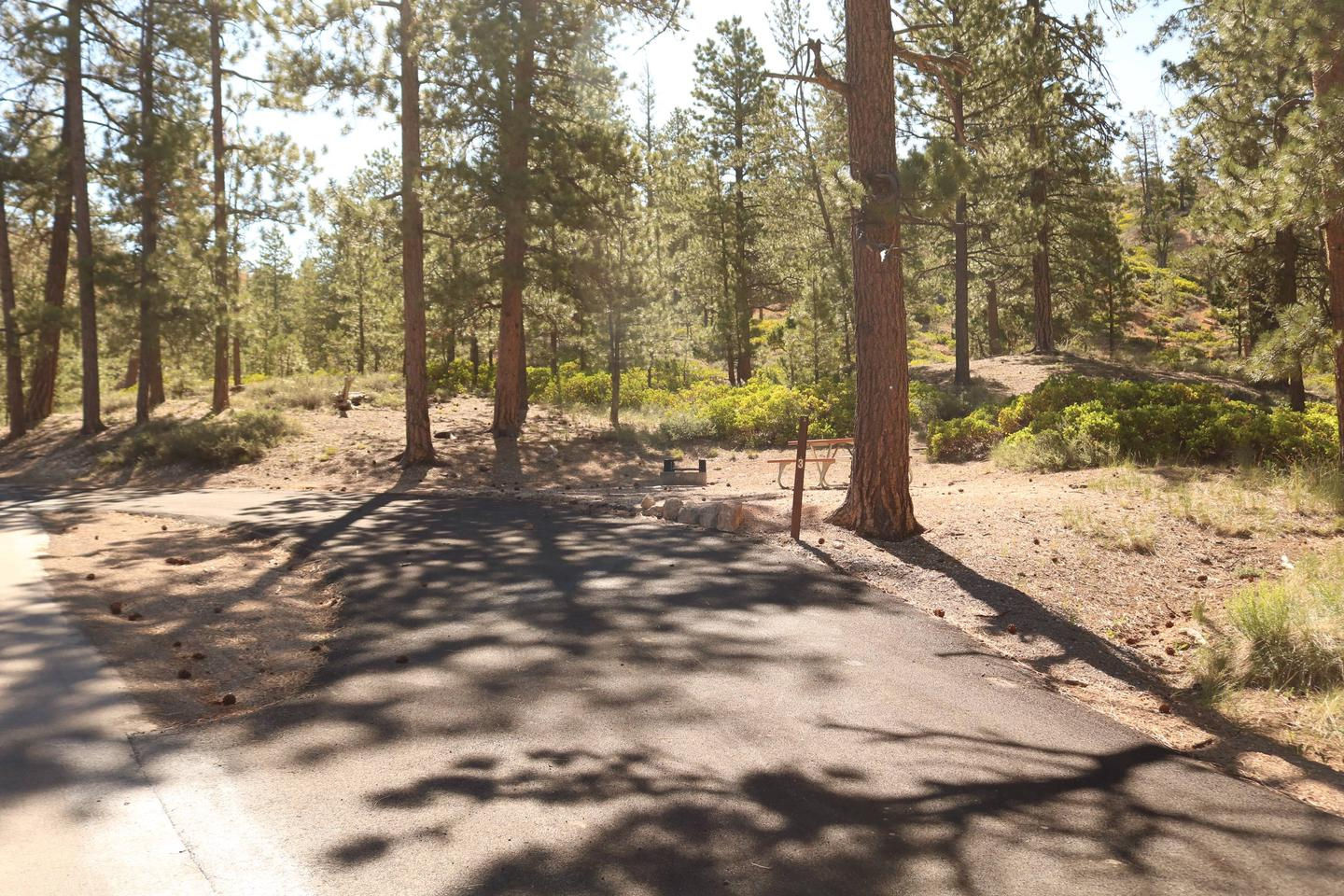 Camping North - Parc national Bryce Canyon : Photos et avis