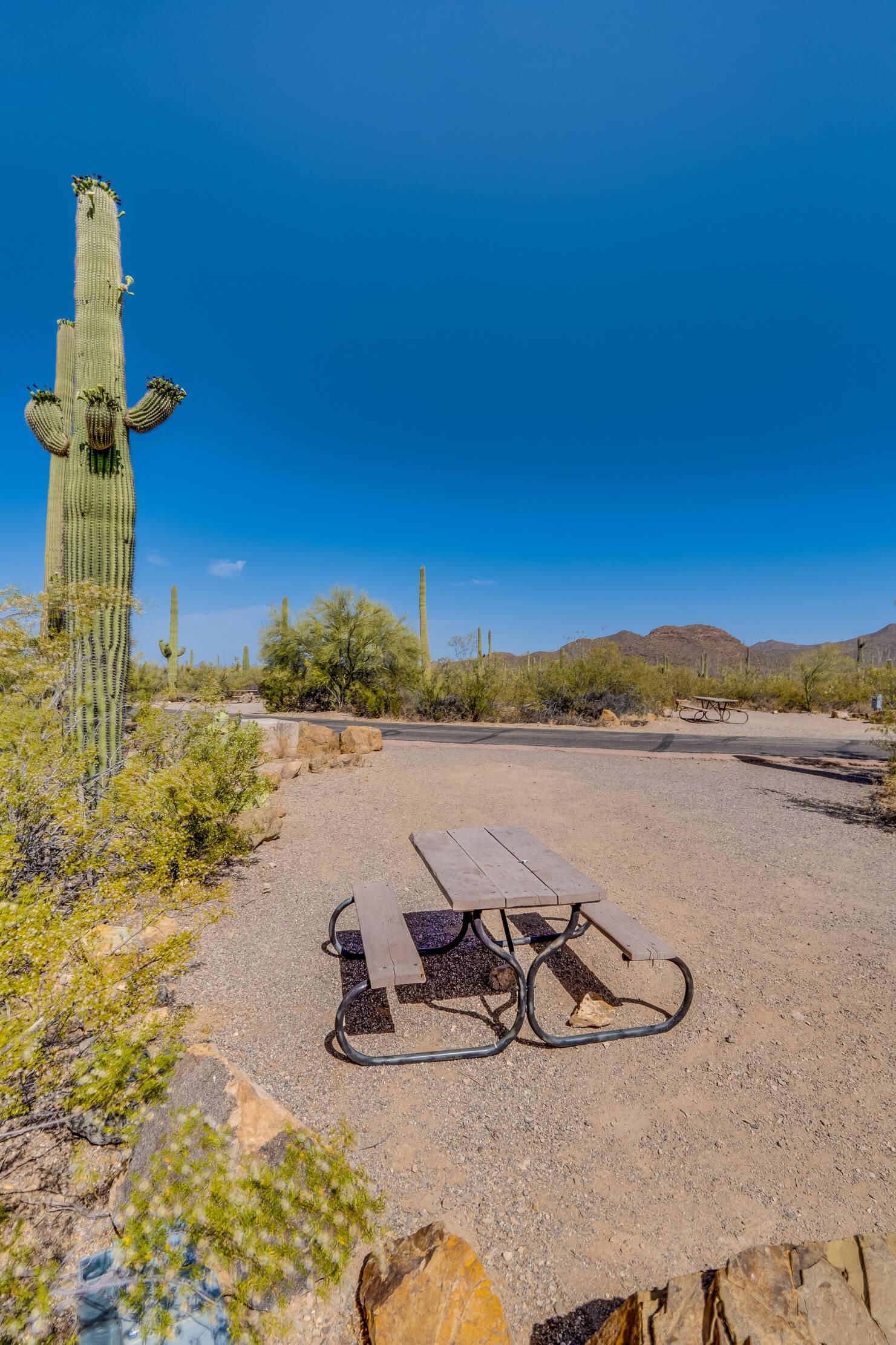 Camping Gilbert Ray - Tucson : Prix, photos et avis